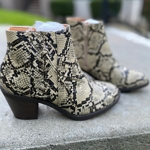 Bonita_Trendz | Shoes | Snakepython Snake Print Corset Lace Ankle Boots ...